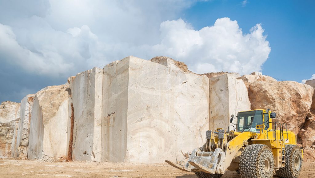 rough | Boss Plant Training